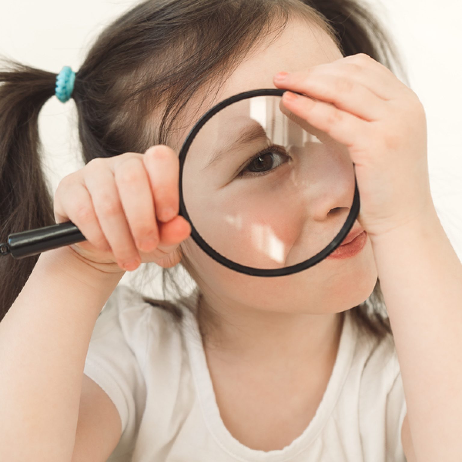 Components - GeeWhiz Education