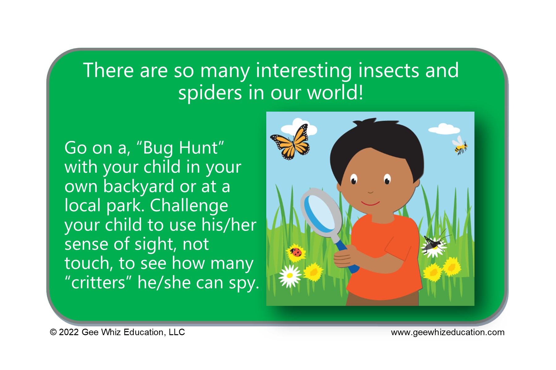Bugs, Insects & Spiders English Files - GeeWhiz Education